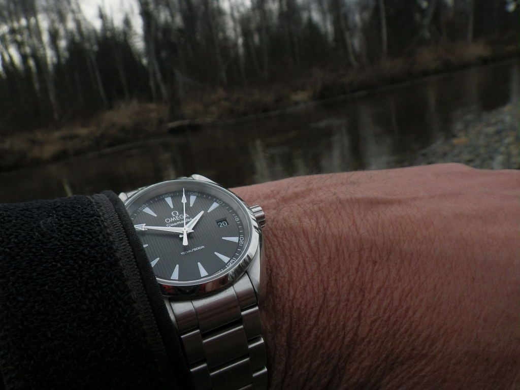 Aqua Terra Quartz Running Perfectly; | WatchUSeek Watch Forums