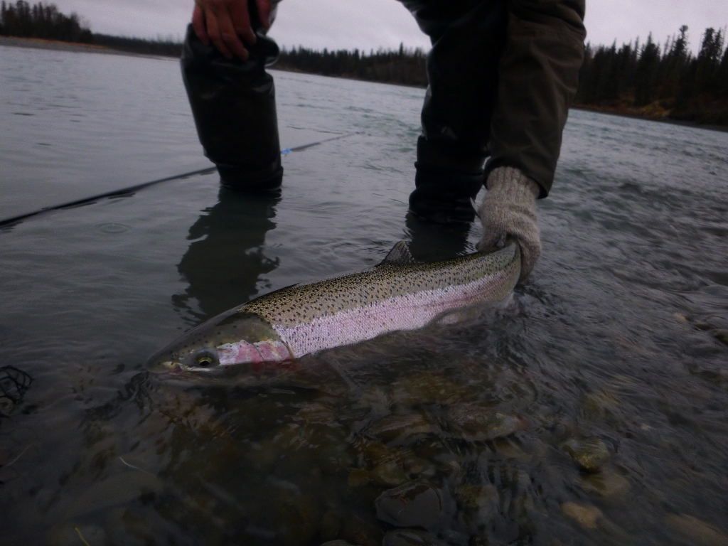 The Photography Chat Thread; | Page 31 | The Fly Fishing Forum