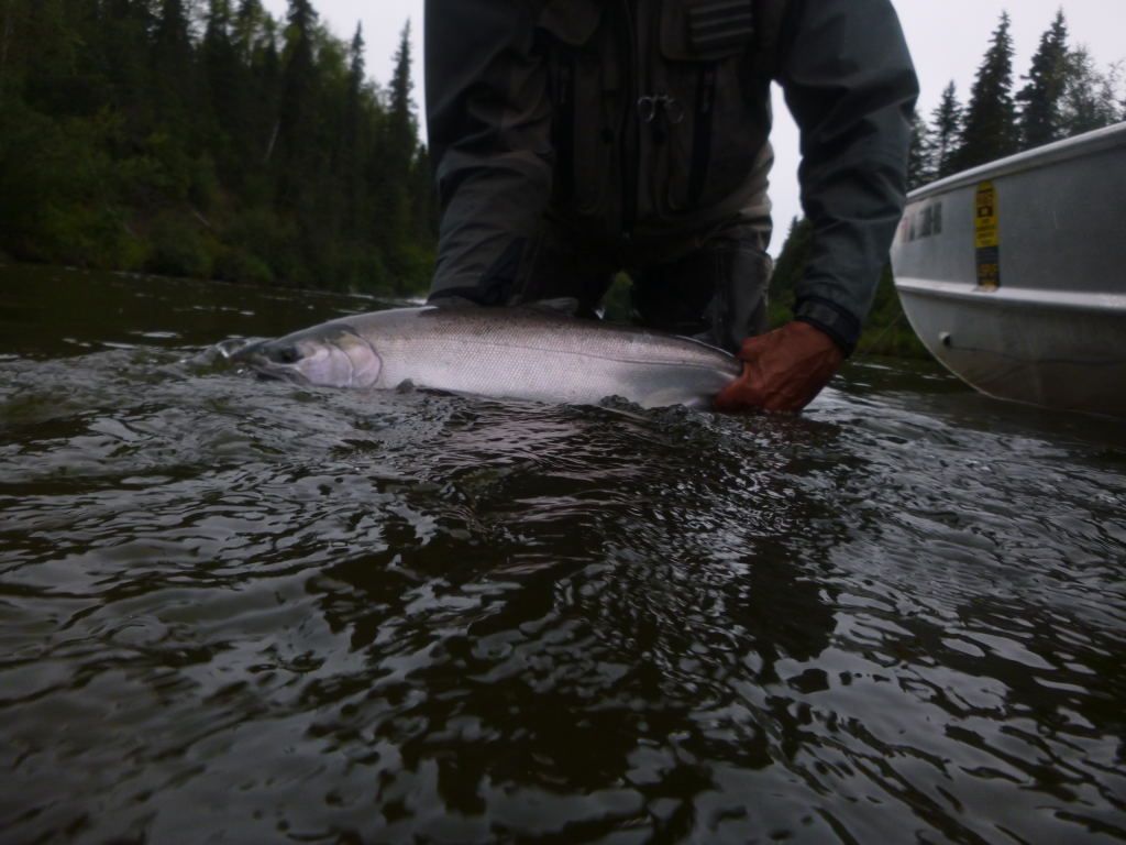 The Photography Chat Thread; | Page 31 | The Fly Fishing Forum